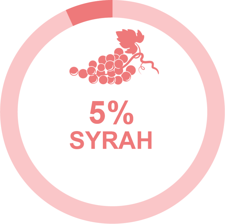 Rose - Forever Young Rosé